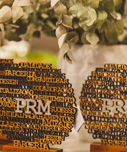Programa PRM + – PRM+ Mundial